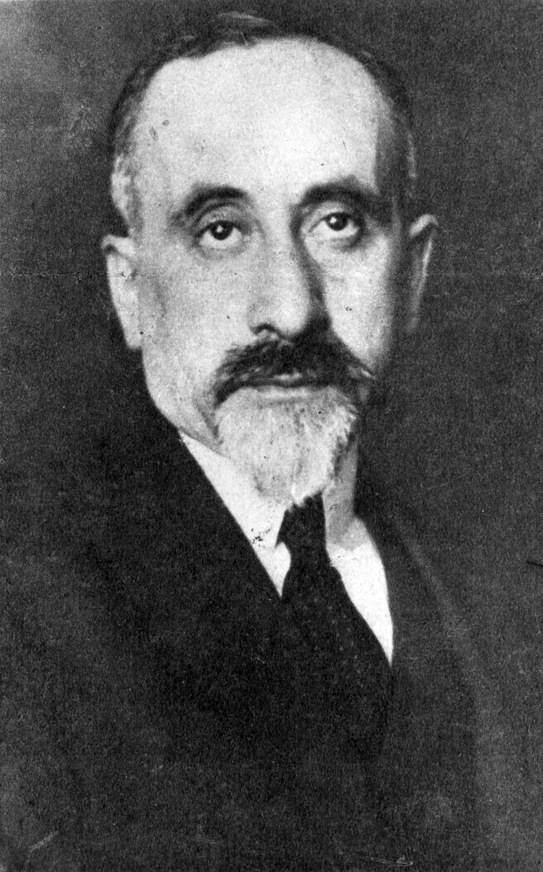 Is Zionism a Liberating Democratic Movement? (A Reply to Professor Simon Dubnow) - Henryk Erlich ...